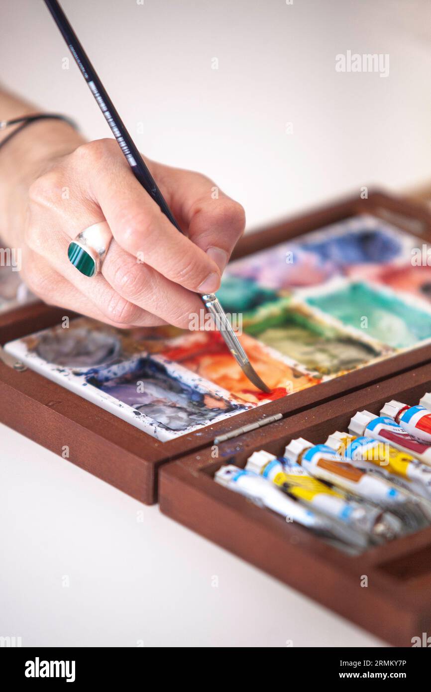 Detail of the illustrator's hand dipping the brush in watercolours ...