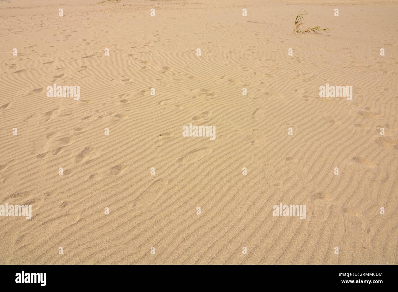 Random walk image hi-res stock photography and images - Alamy