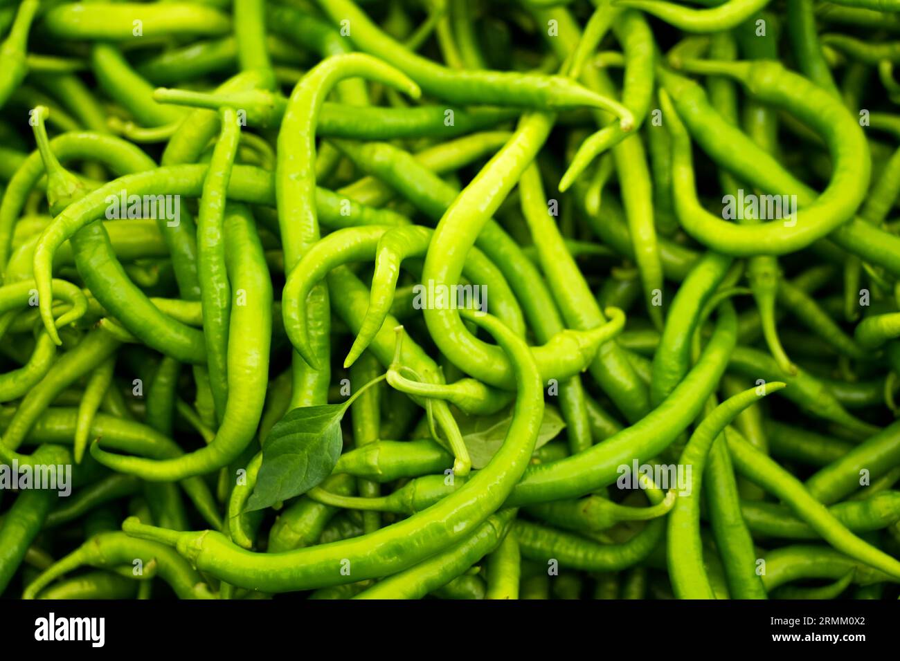 Green chilli close-up. Fresh Vegetables Background. Chili peppers Stock ...