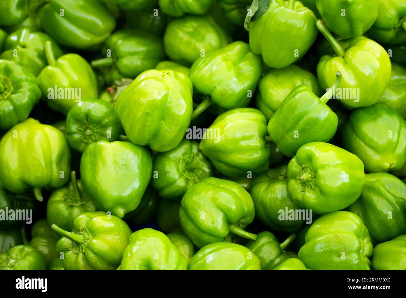 Green chilli close-up. Fresh Vegetables Background. Chili peppers Stock ...