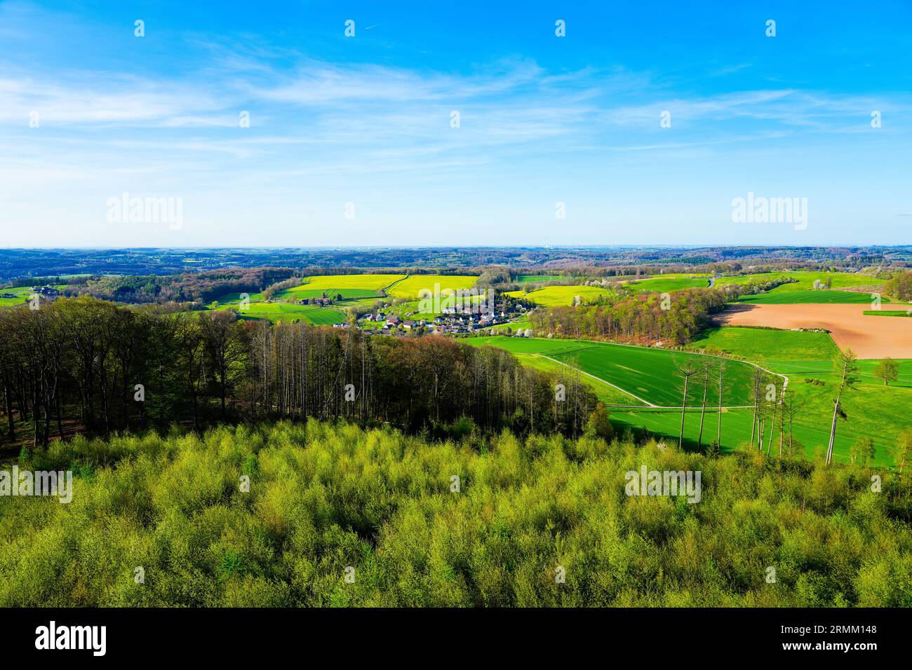 Landscape at Ebberg near Balve. Green nature with forests and meadows ...