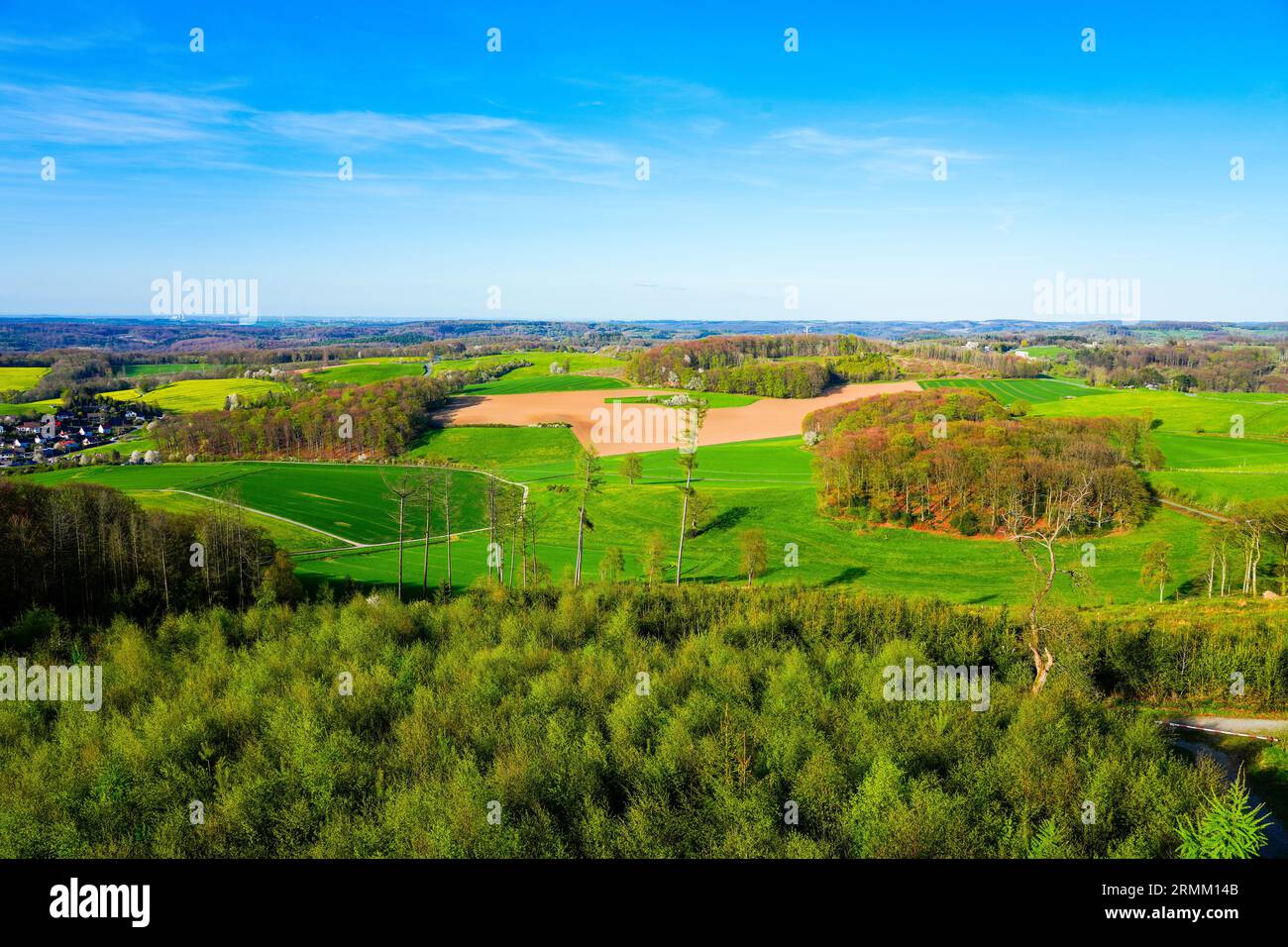 Landscape at Ebberg near Balve. Green nature with forests and meadows ...