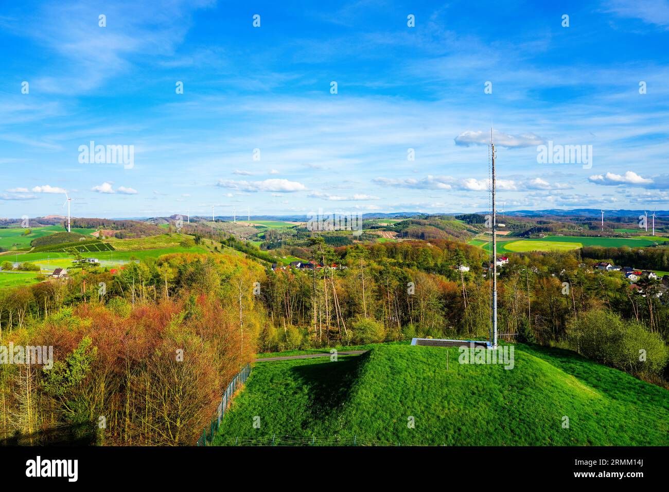 Nature beautiful forest hi-res stock photography and images - Alamy