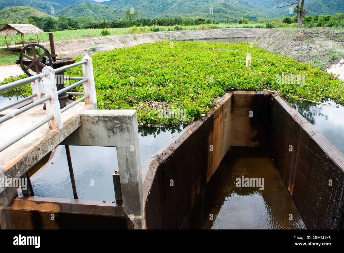 Thai weir hi-res stock photography and images - Alamy