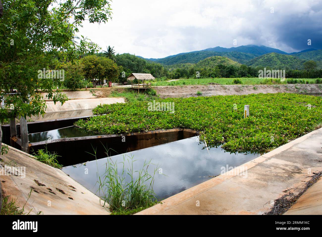 View landscape mountain and panoramic nature background of Pang Sawan ...