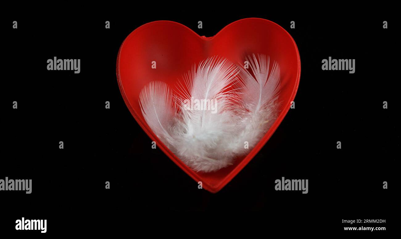 Red feather action hi-res stock photography and images - Alamy