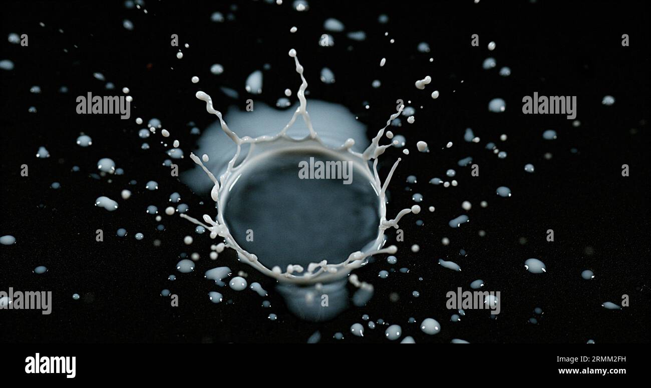 Drop of Milk Falling against Black Background Stock Photo - Alamy