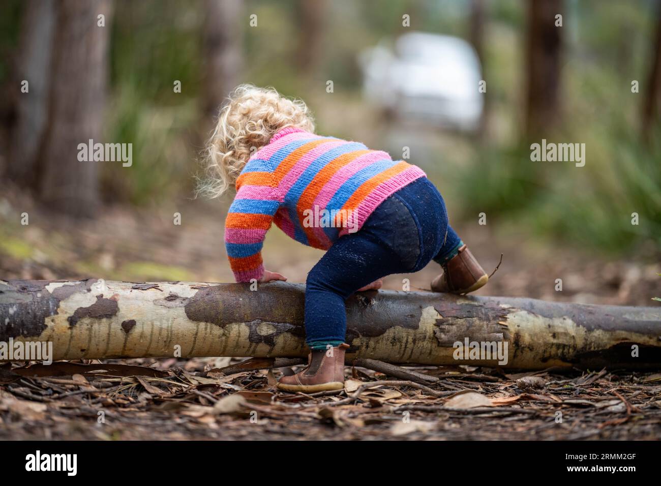 baby climbing a tree. toddler exploring in the forest in the trees in ...