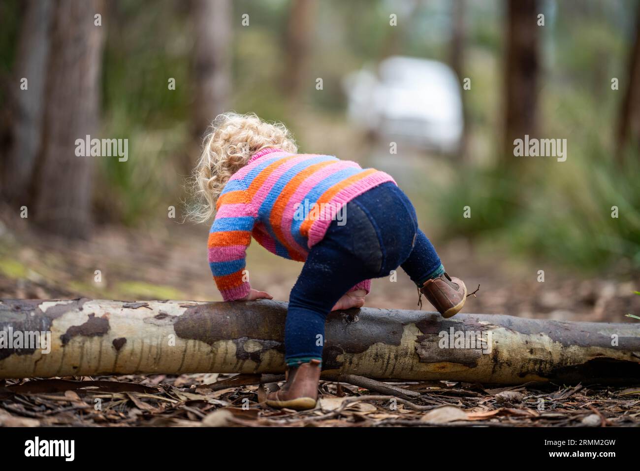baby climbing a tree. toddler exploring in the forest in the trees in ...
