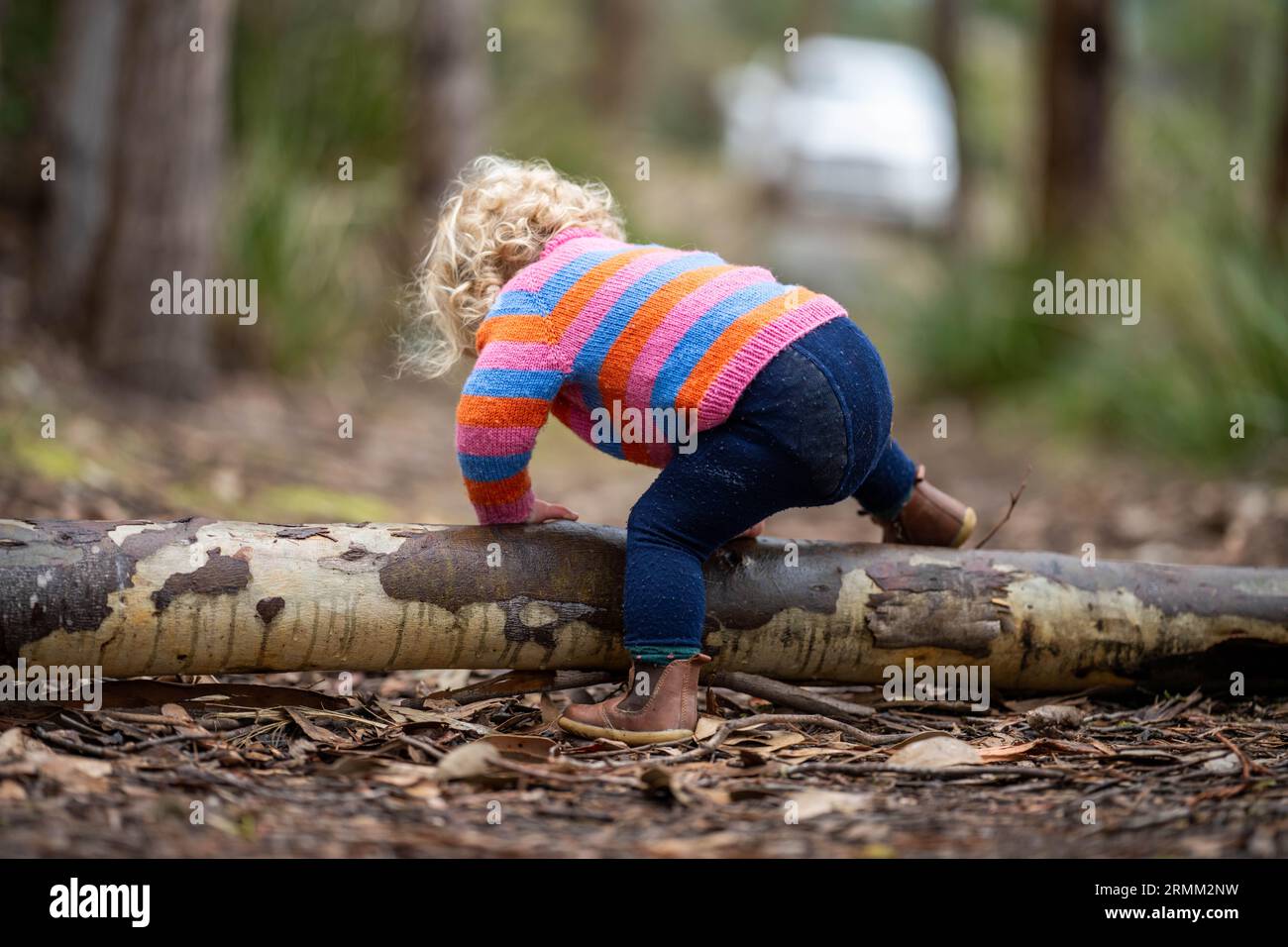 baby climbing a tree. toddler exploring in the forest in the trees in ...