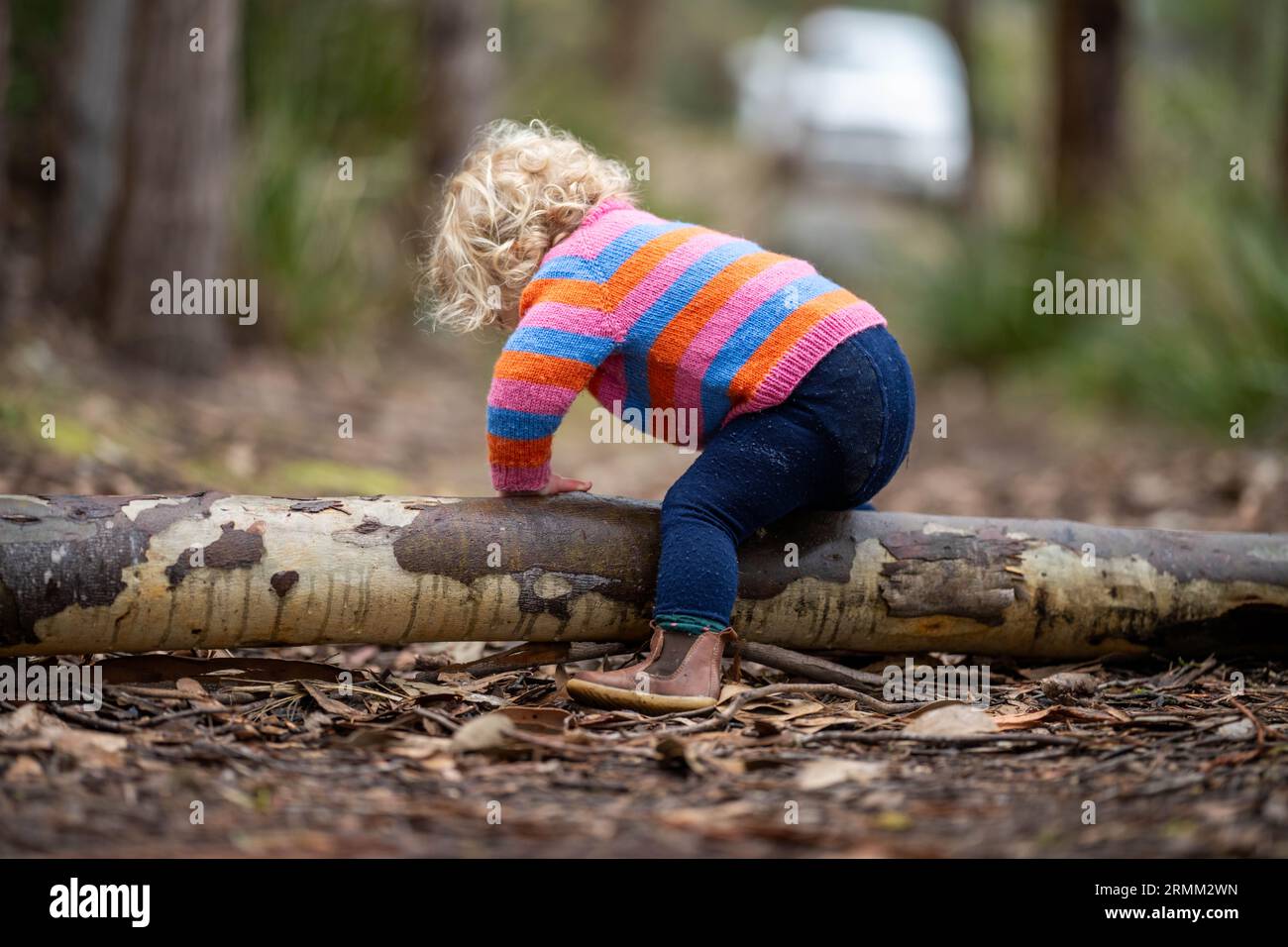 baby climbing a tree. toddler exploring in the forest in the trees in ...