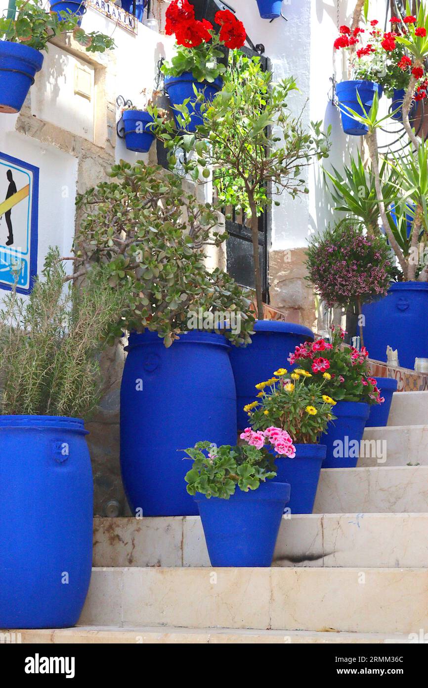 The house with the blue pots, bold hand painted blue pots contrast with ...