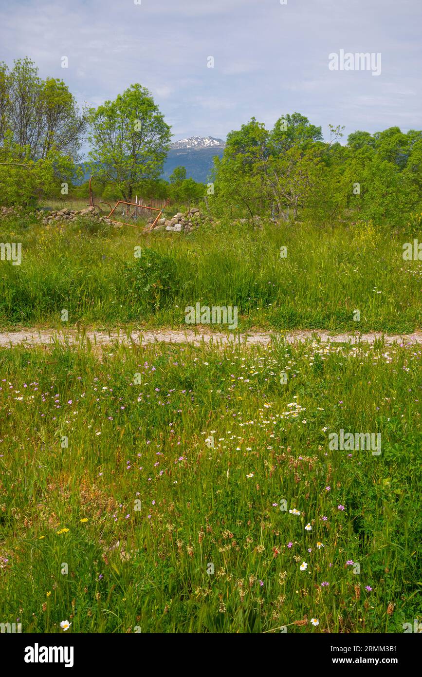 Landscape. Pinilla del Valle, Madrid province, Spain Stock Photo - Alamy