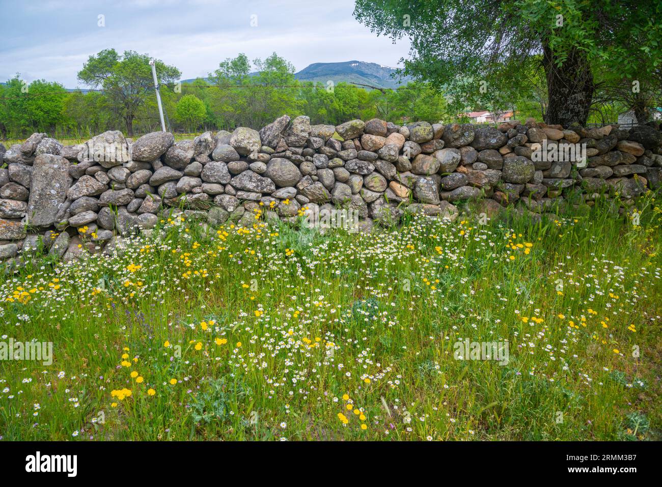Landscape. Pinilla del Valle, Madrid province, Spain Stock Photo - Alamy