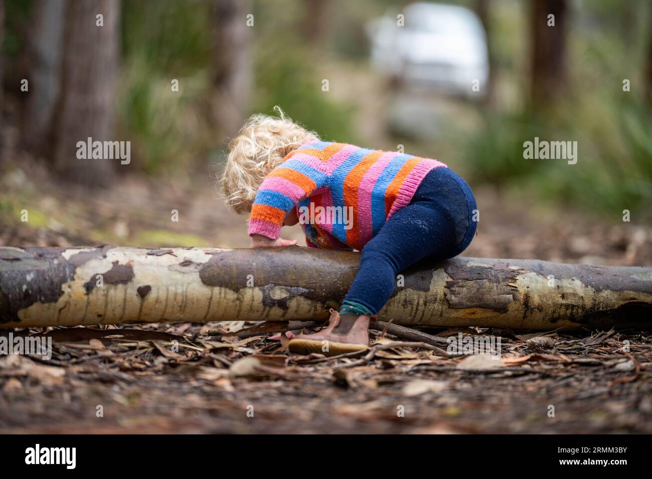 baby climbing a tree. toddler exploring in the forest in the trees in ...