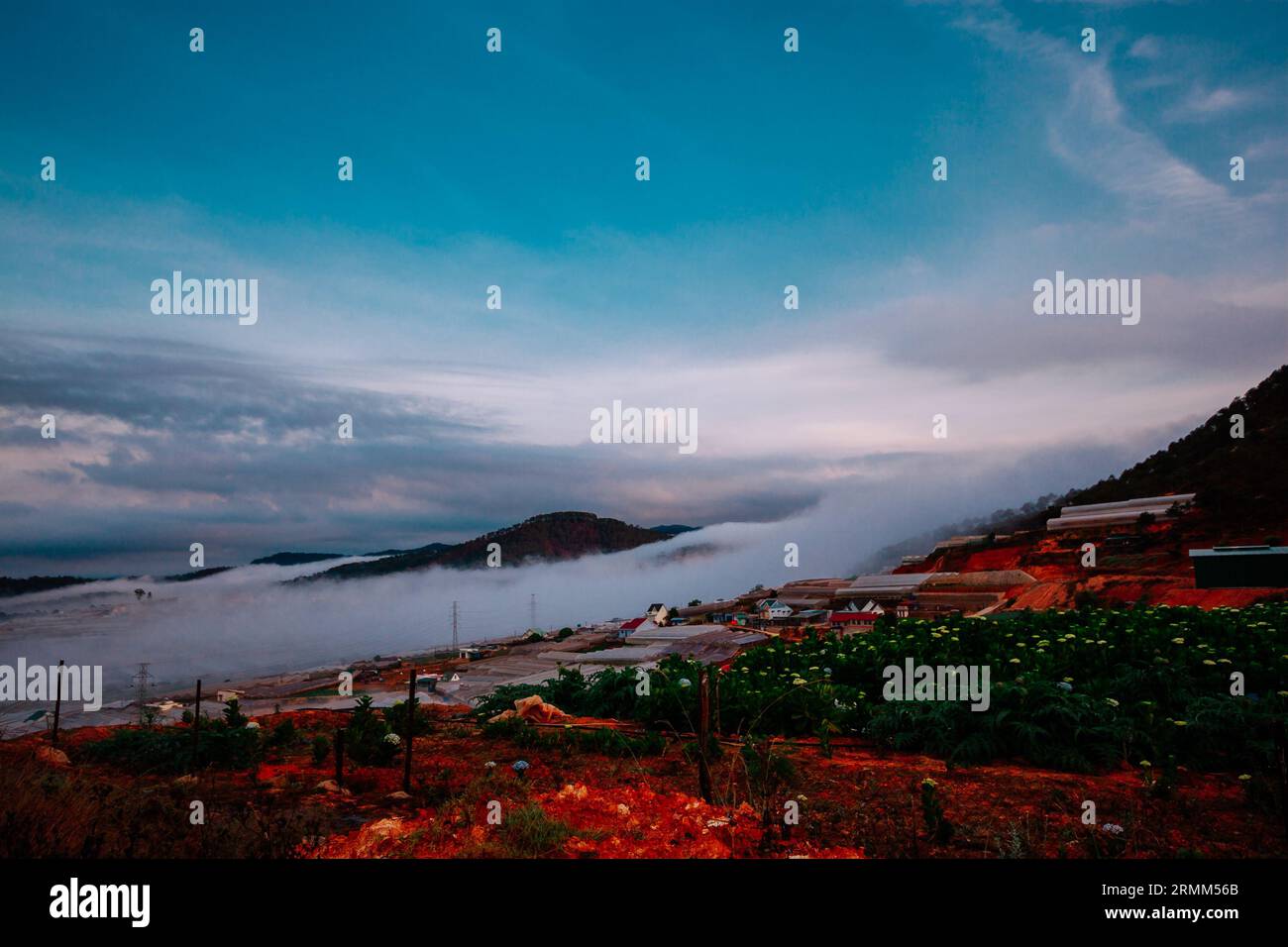Da Lat scenery Vietnam scenery beautiful scenery Da Lat in the mist ...