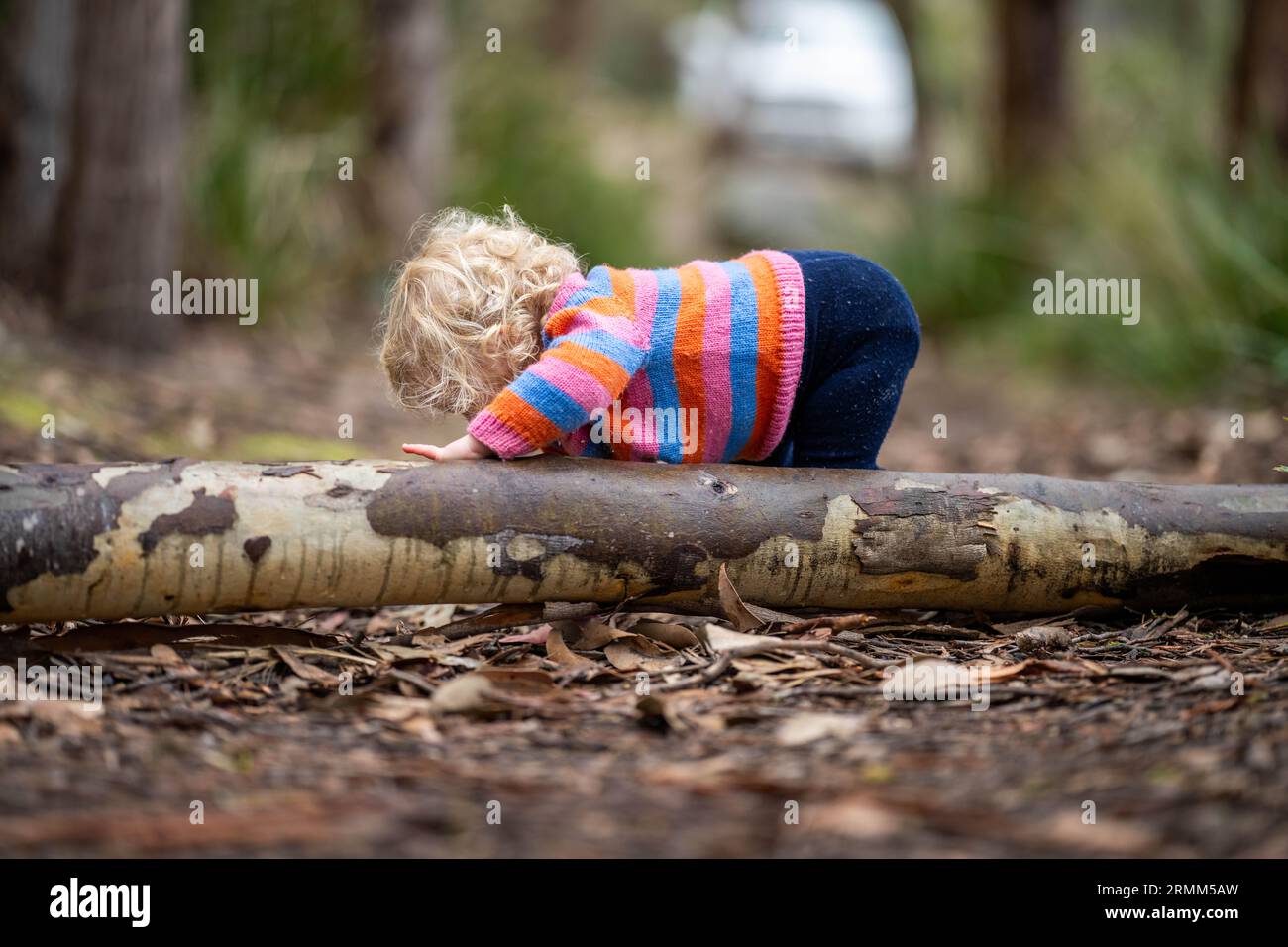 Children forest log learning hi-res stock photography and images - Alamy