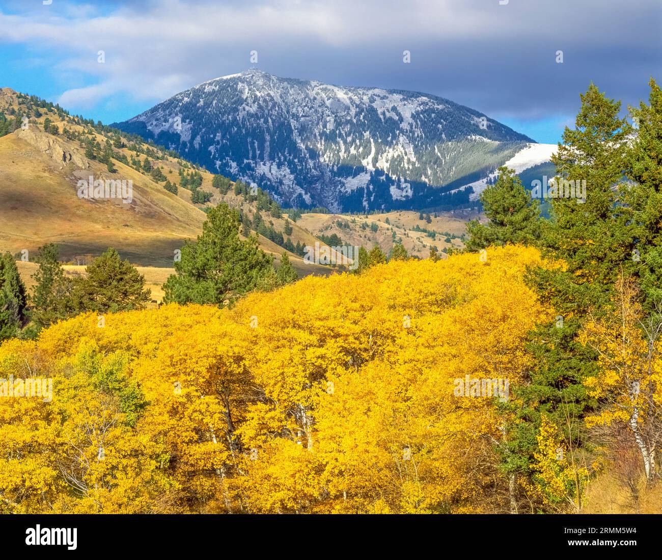 Grove belt hi-res stock photography and images - Alamy