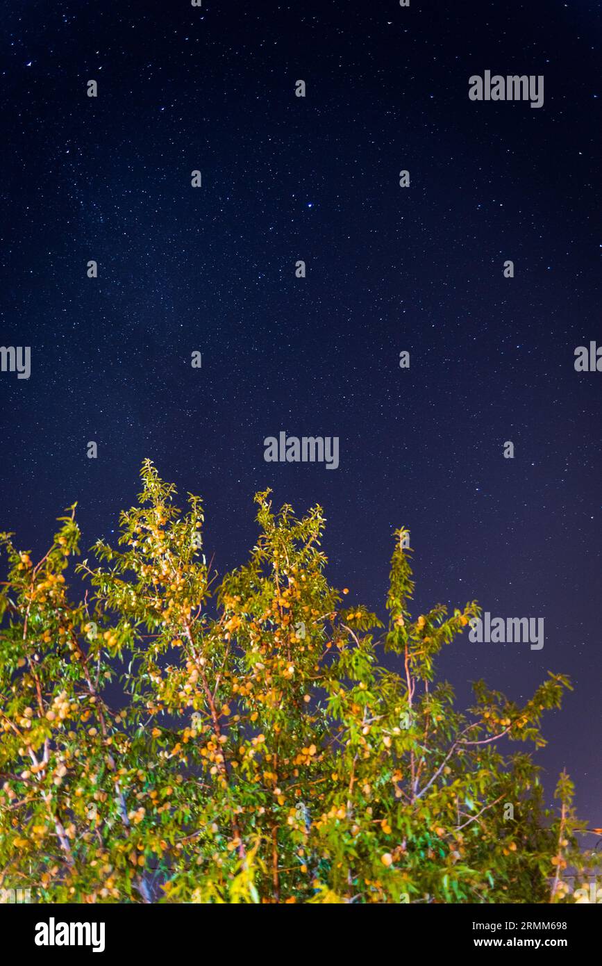 Stars shot in summer night Stock Photo - Alamy