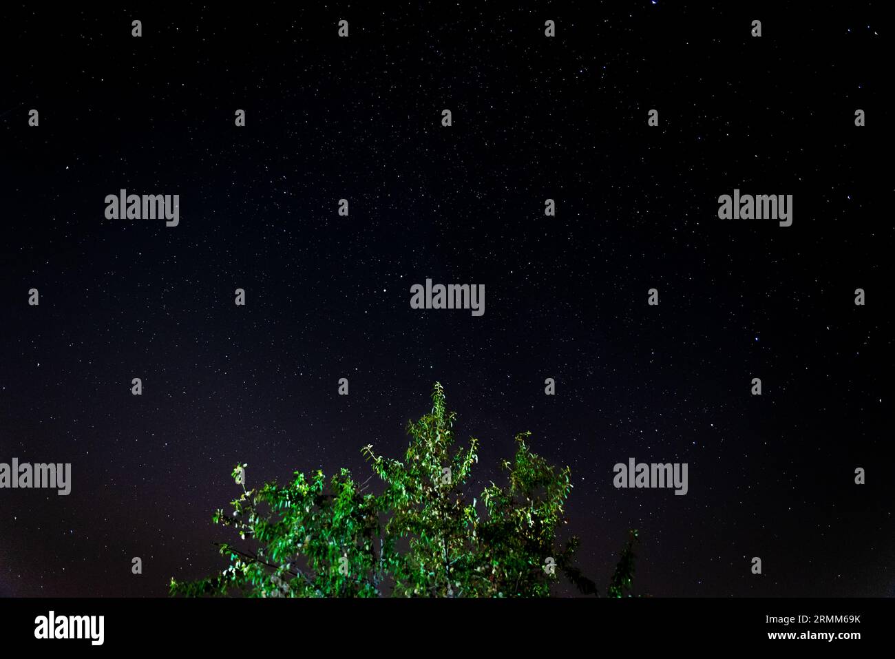 Universe filled nebula stars hi-res stock photography and images - Alamy