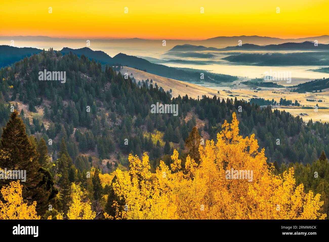 Mt d2265 hi-res stock photography and images - Alamy