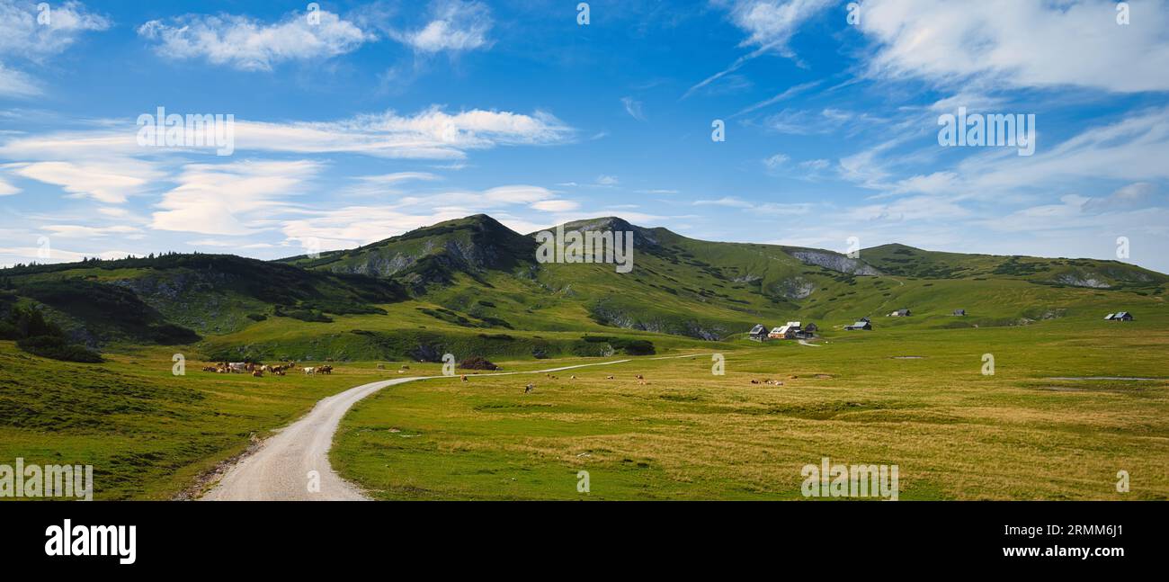 Beautiful nature and hills in the Schnee Alps in summer in Austria ...