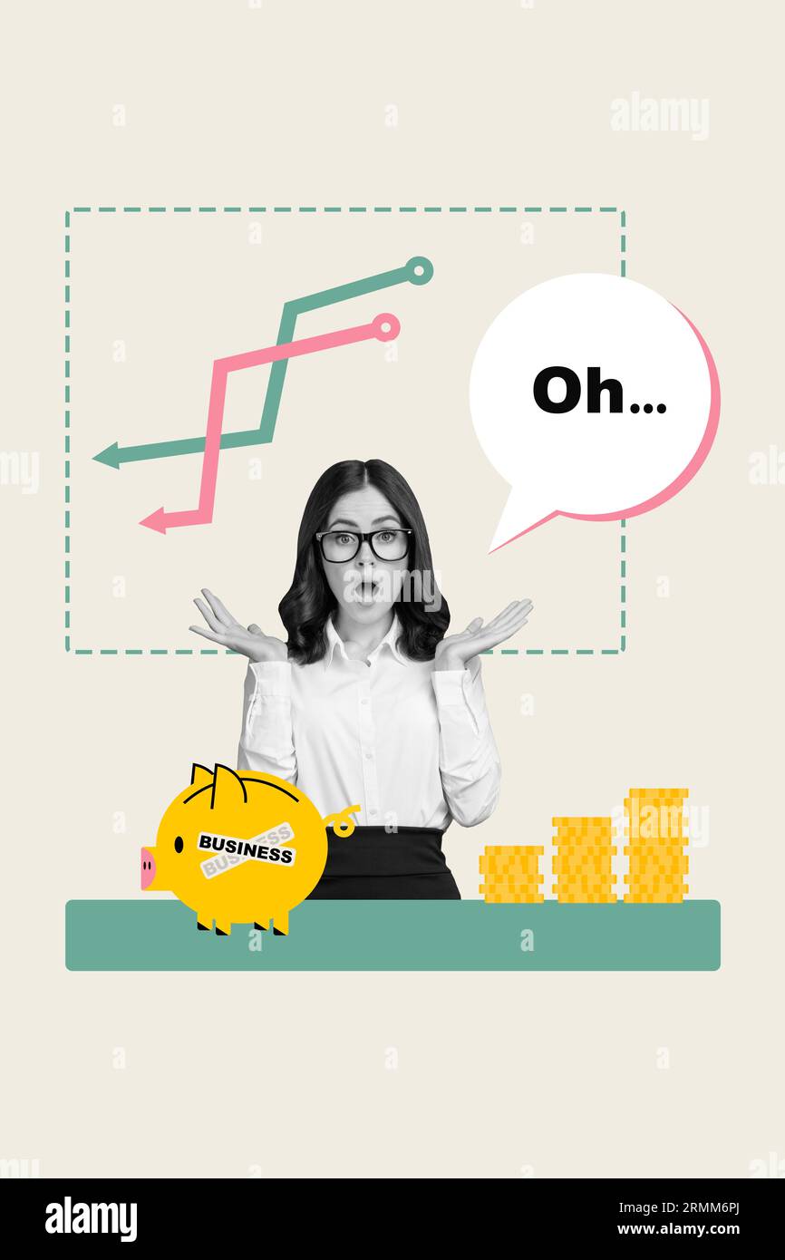 Picture image sketch collage of surprised shocked girl financial ...