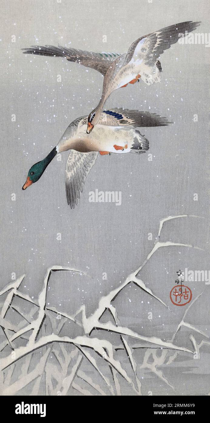 Two Wild Ducks in Flight, by Japanese artist Ohara Koson, 1877 - 1945 ...