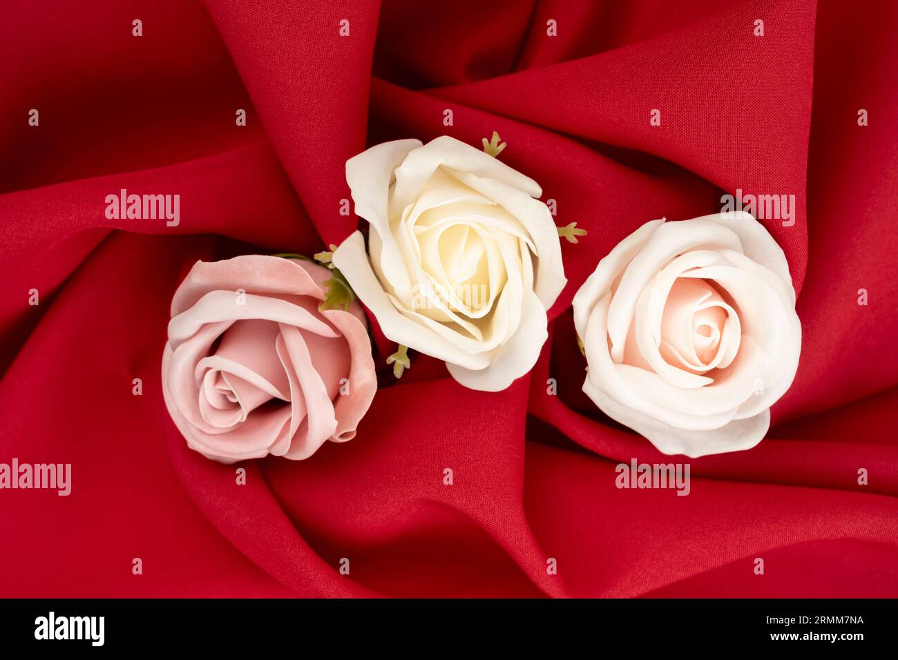 White and pink color roses on a red satin background Stock Photo - Alamy