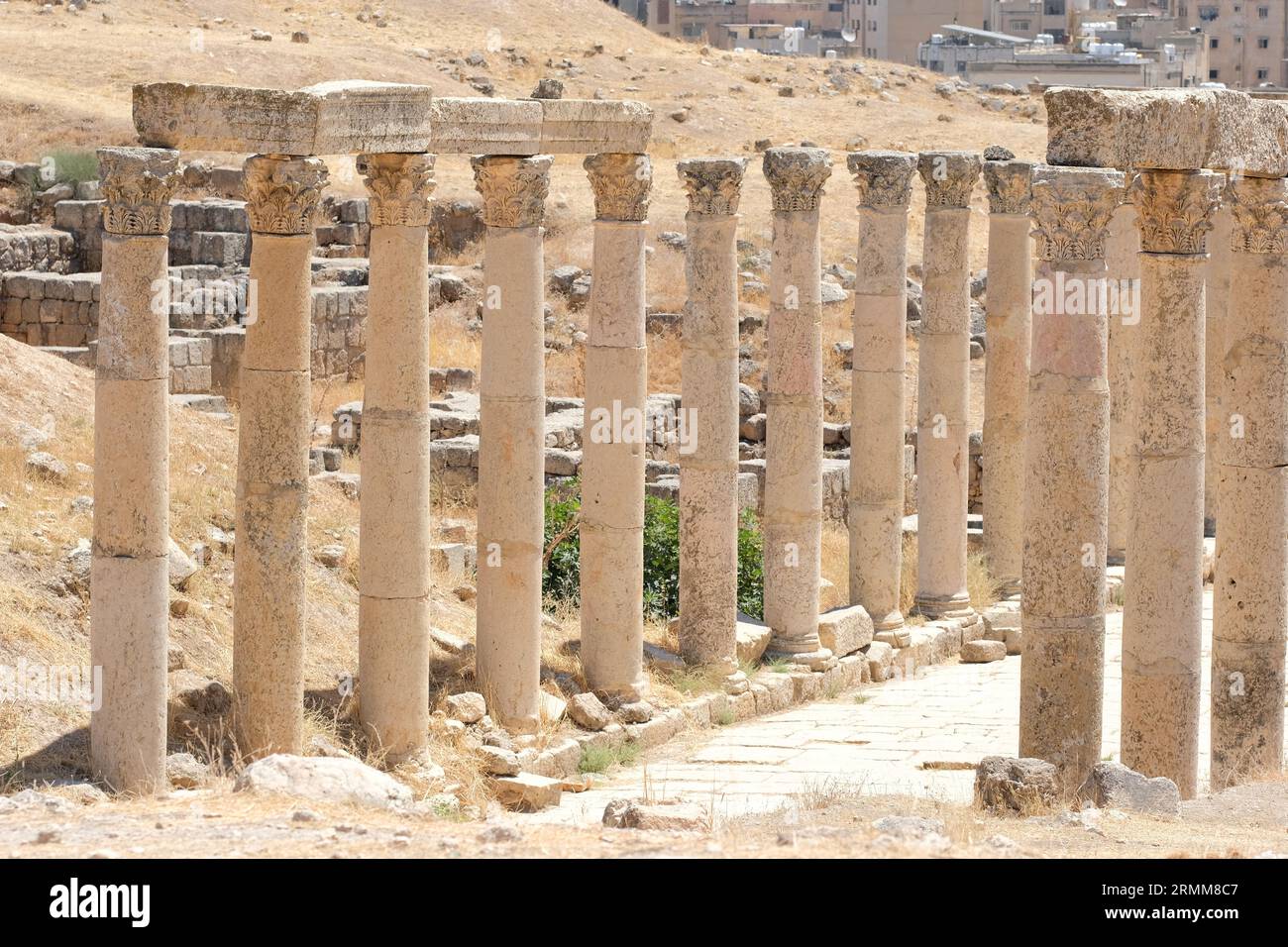 Jerash Jordan the colonnade of the South Decumanus at the ruins of the ...