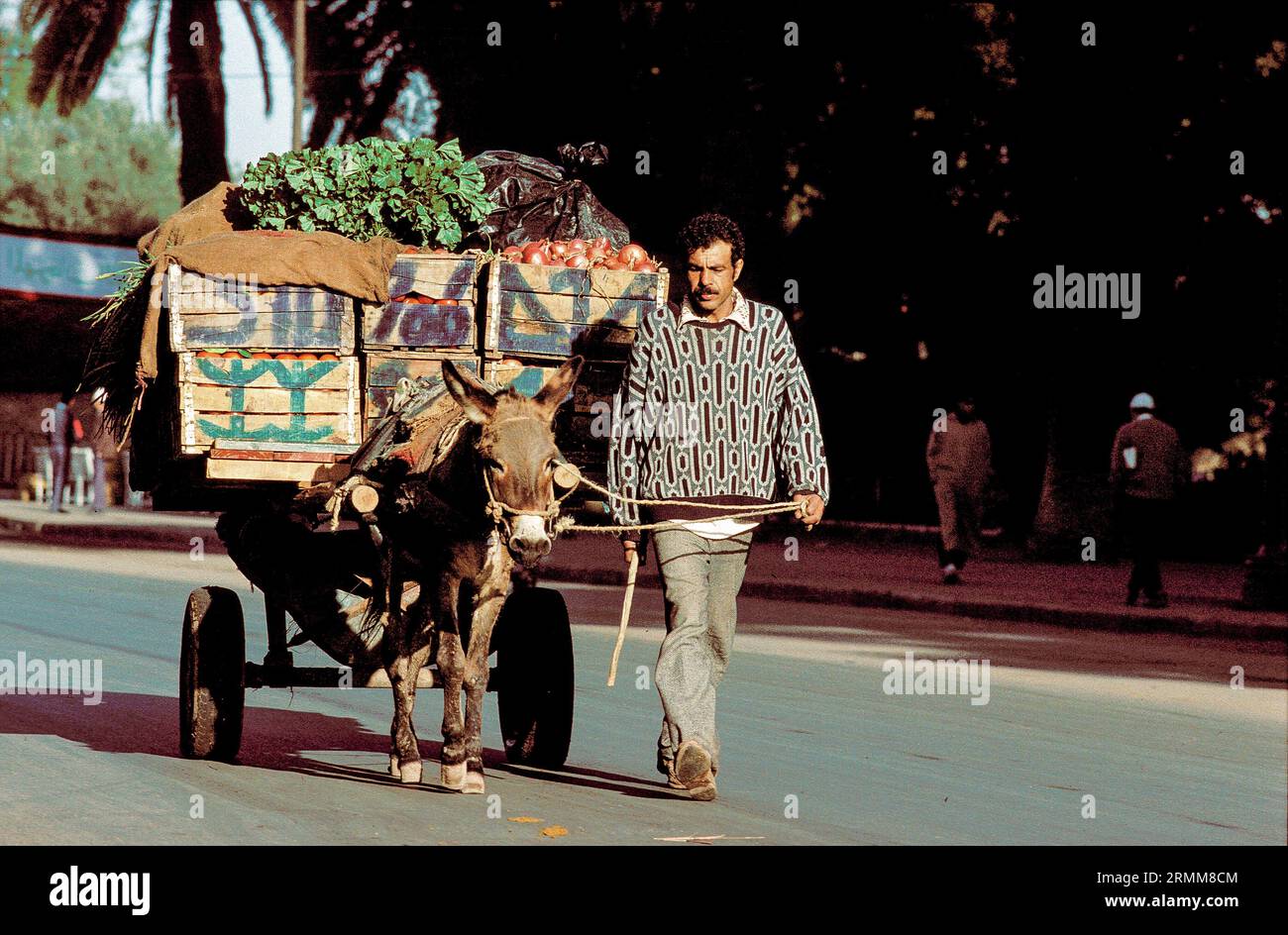 Morocco, A donkey is pulling a cart loaded with vegetables Stock Photo ...