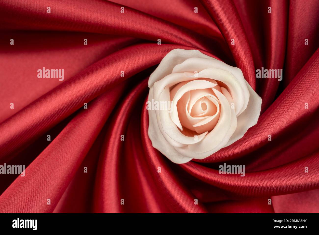 Beautiful white rose on red silk satin background Stock Photo - Alamy