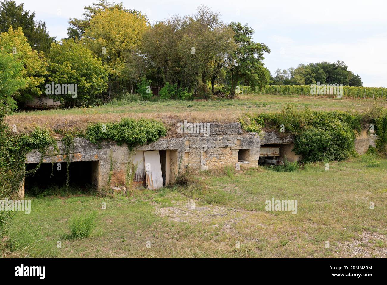 Vigne et vignoble de l’appellation Lussac-saint-émilion. Satellite de ...