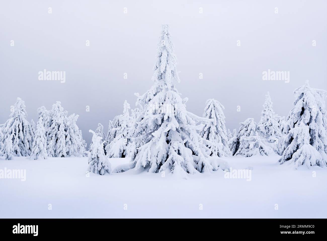 Surreal winter snowy scene fence hi-res stock photography and images ...