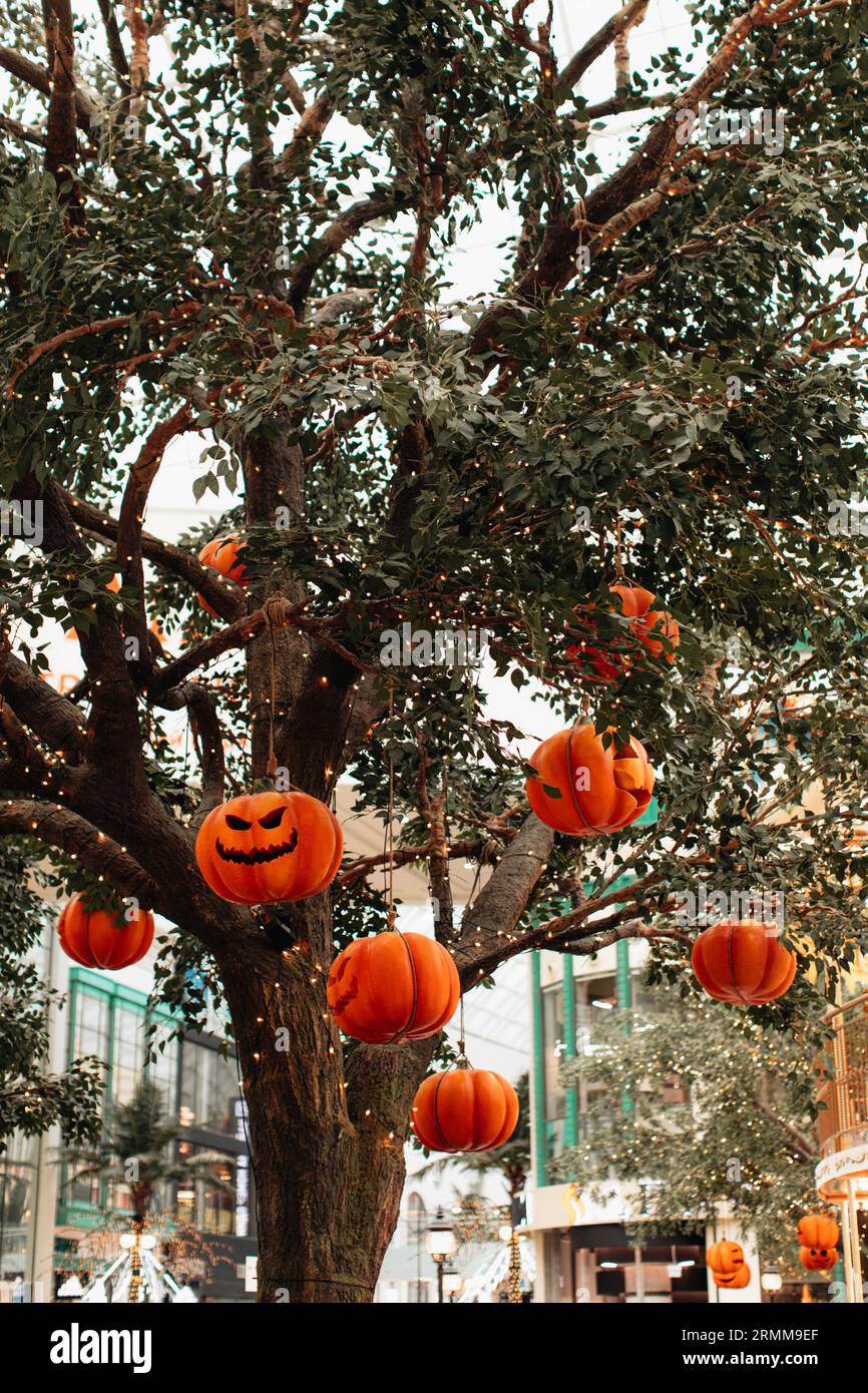 Scary face tree hi-res stock photography and images - Alamy