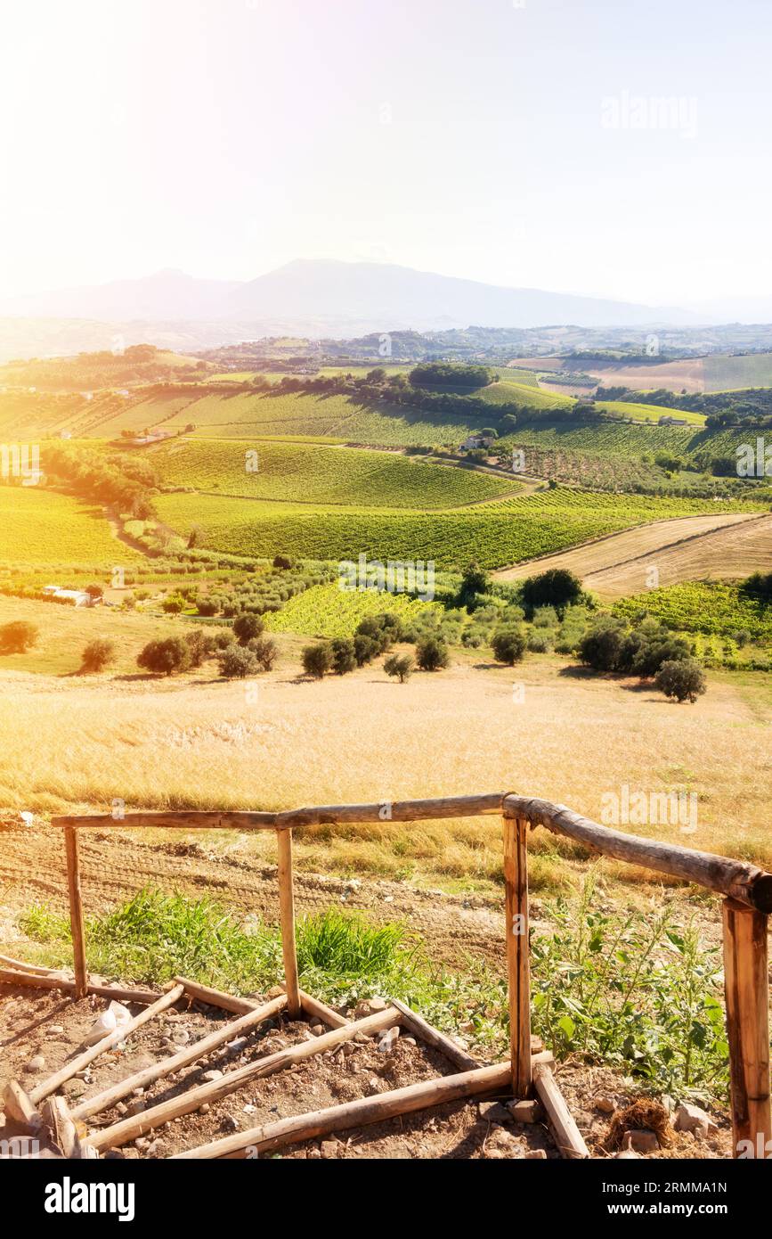 Countryside landscape with vineyards on farm lands Stock Photo - Alamy
