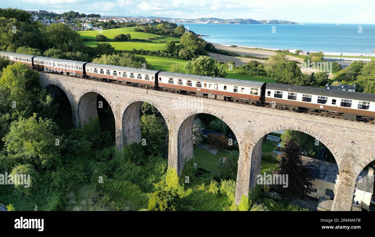 Train Brunel Viaduct Devon Stock Photo - Alamy