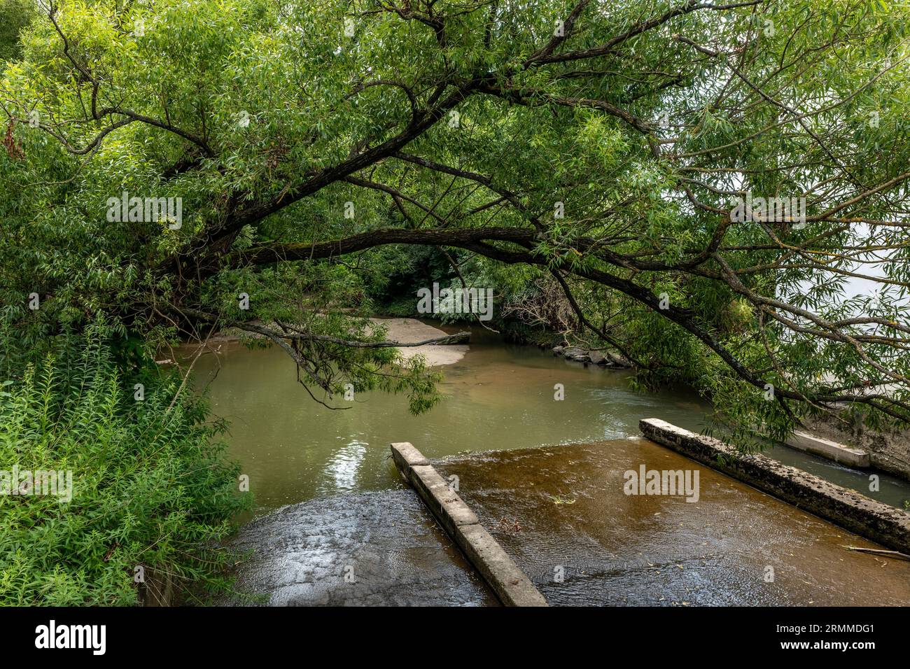 A scenic view of a peaceful river with wooden steps descending down to ...