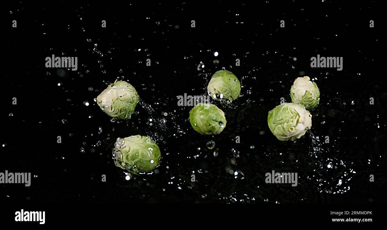 Brussels Sprouts, brassica oleracea, Vegetable falling into Water ...