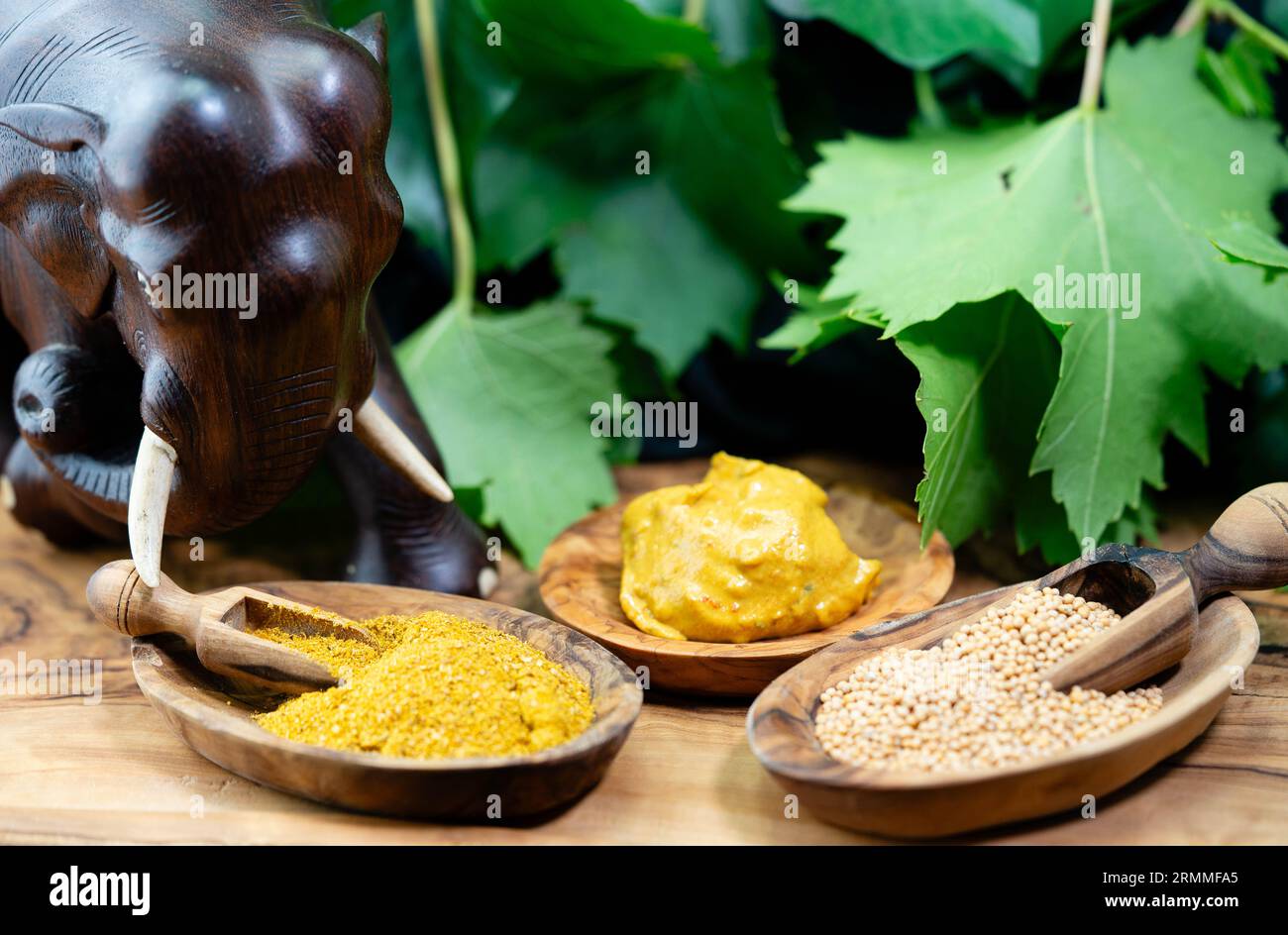 medium hot mustard with typical African spices like chakalaka Stock ...