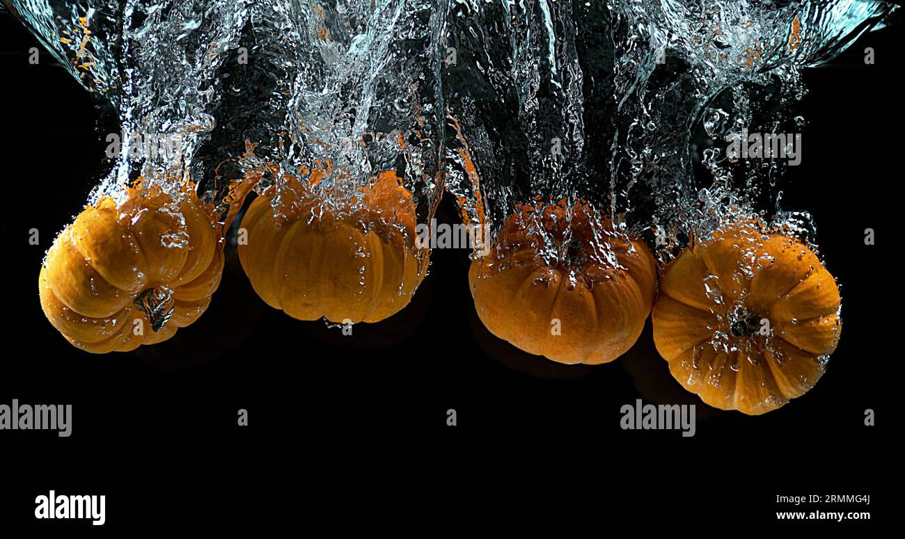 Dwarf pumpkin cucurbita pepo hi-res stock photography and images - Alamy