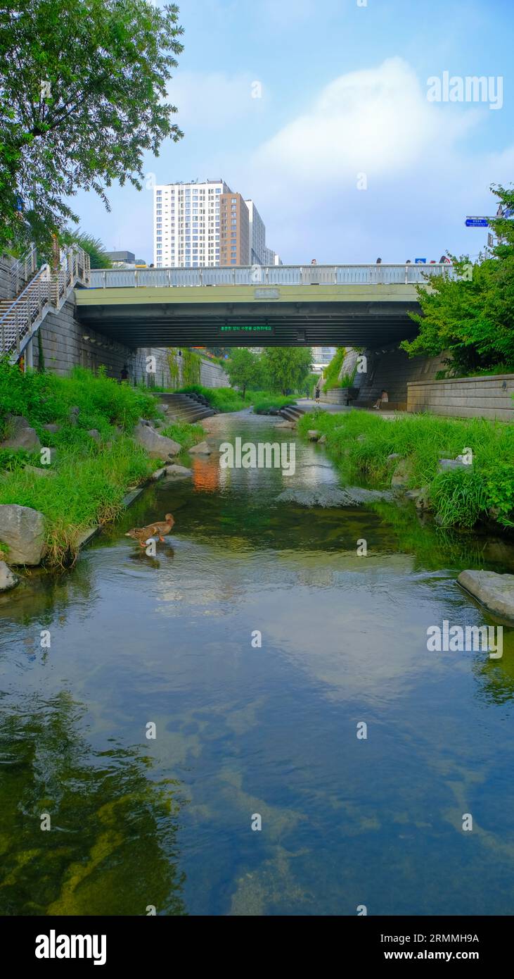 Cheonggyecheon Stream is an 11 km-long stream that runs through ...