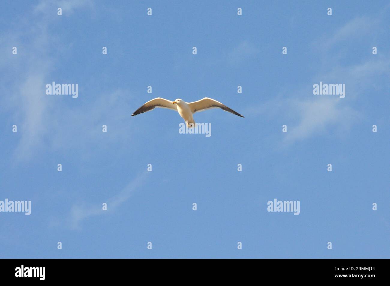 Ruido azul hi-res stock photography and images - Alamy