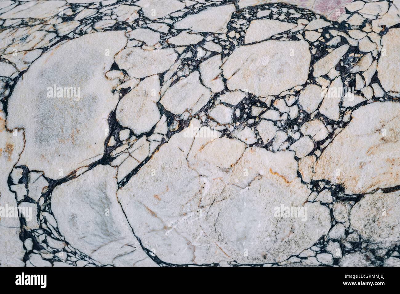 A mesmerizing blend of textures and patterns on a stone surface, where ...