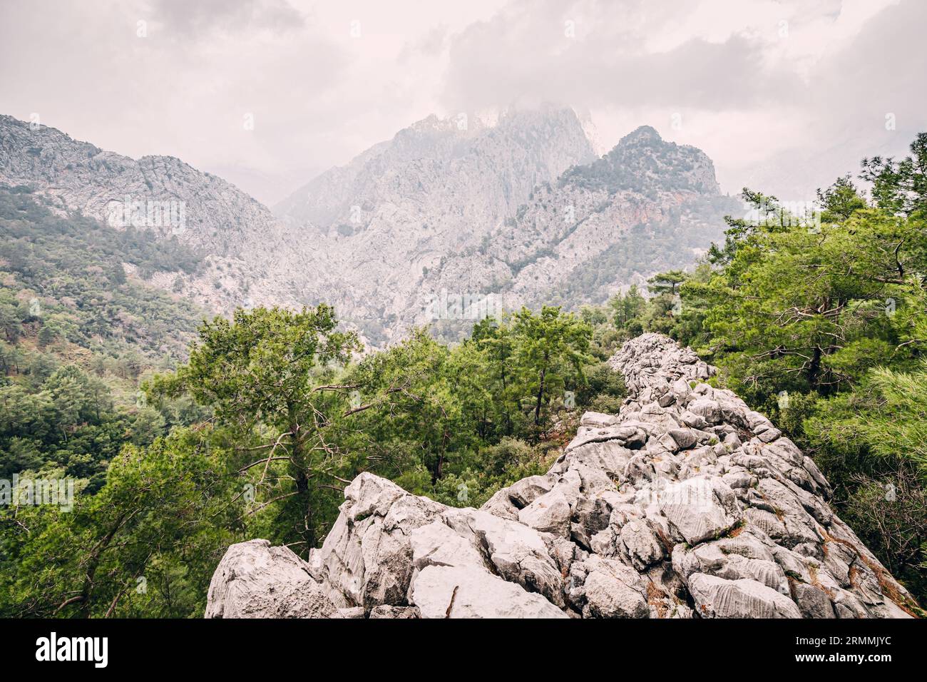 Serene nature escape: Vast forested hills meet the open sky in a ...