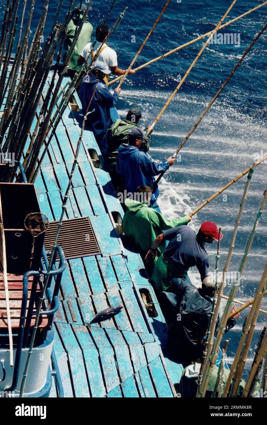 Pole and line tuna fisheries in the Azores islands, Portugal Stock ...