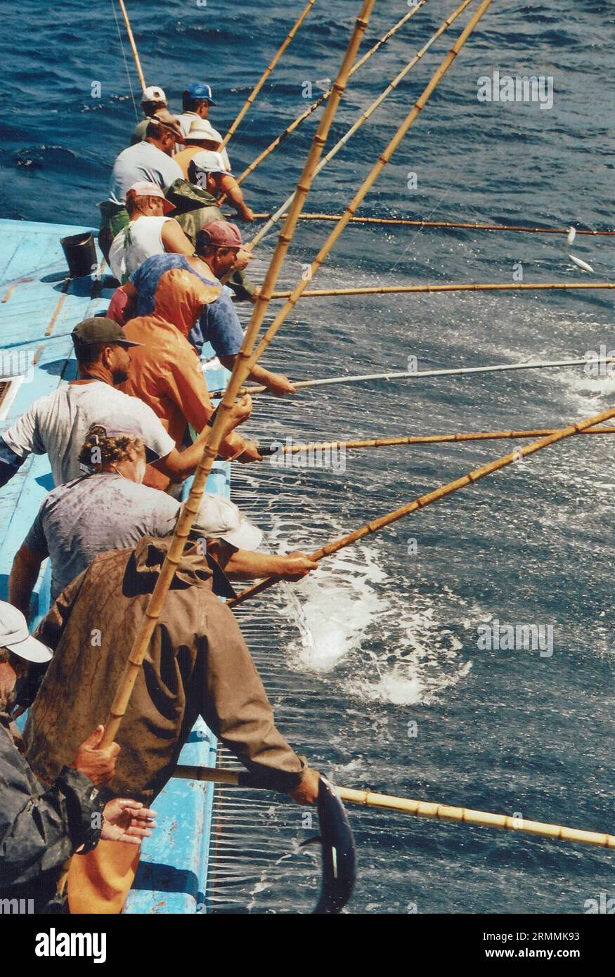 Pole and line tuna fisheries in the Azores islands, Portugal Stock ...