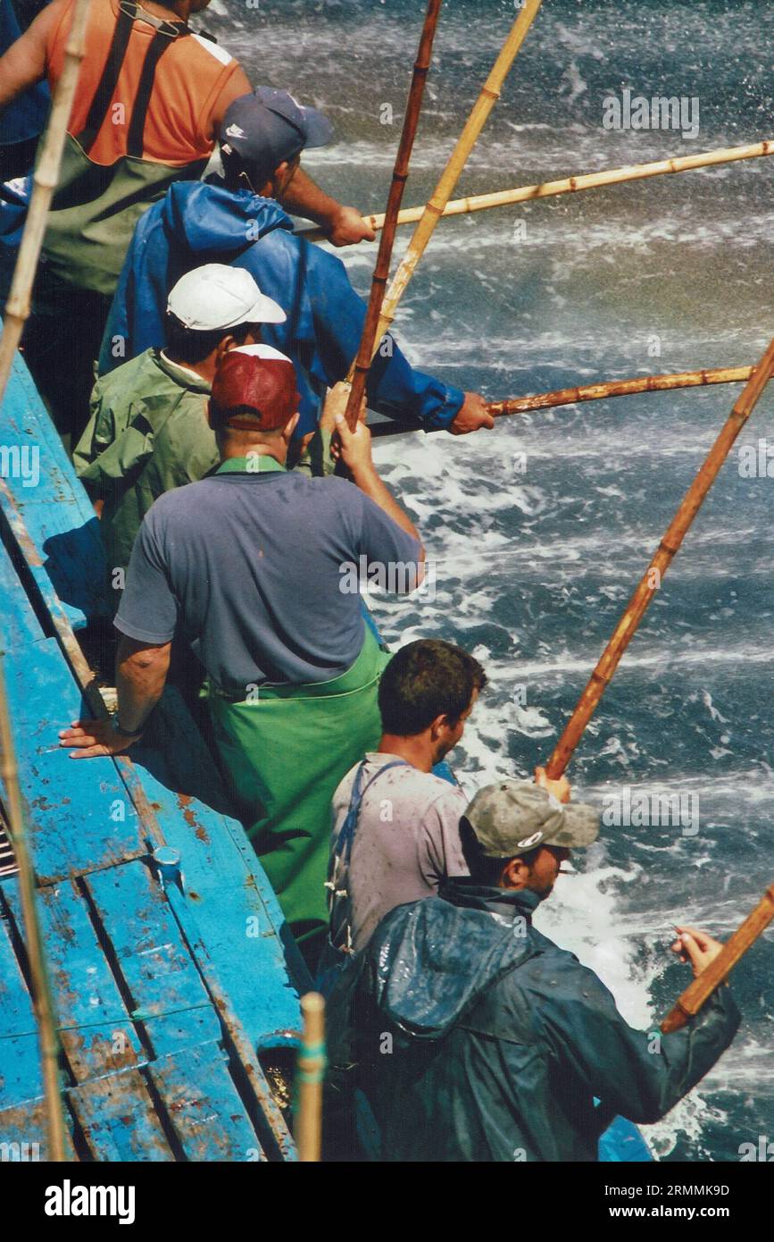 Pole and line tuna fisheries in the Azores islands, Portugal Stock ...