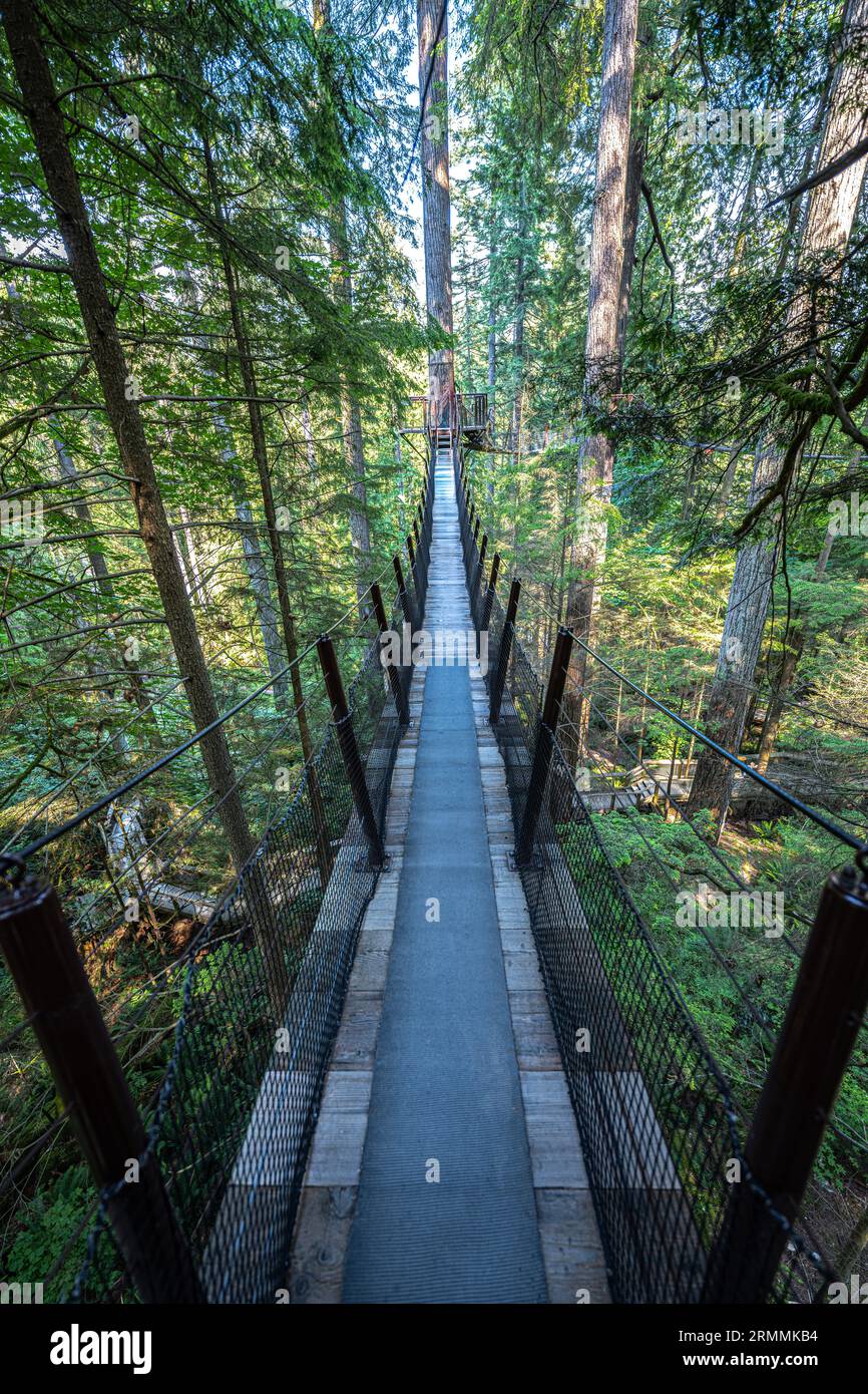 Capilano pacific park hi-res stock photography and images - Alamy