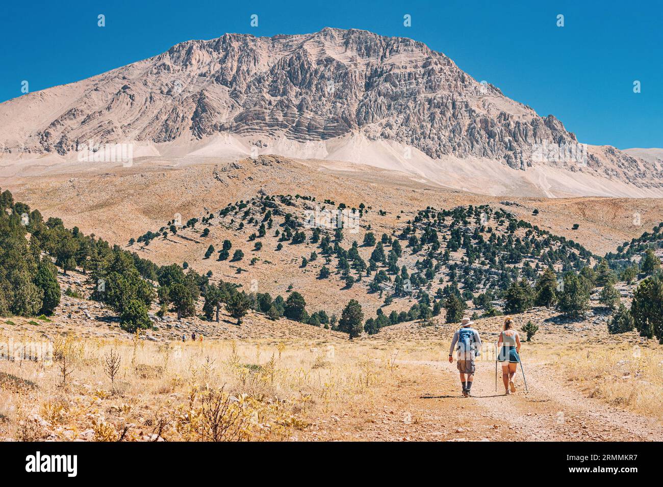 Two travelers embracing the scenic landscape of mountains, sharing an ...